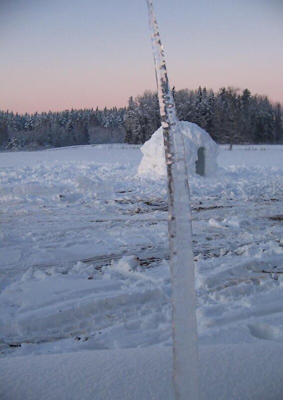 Talv - Loodusfoto.eu